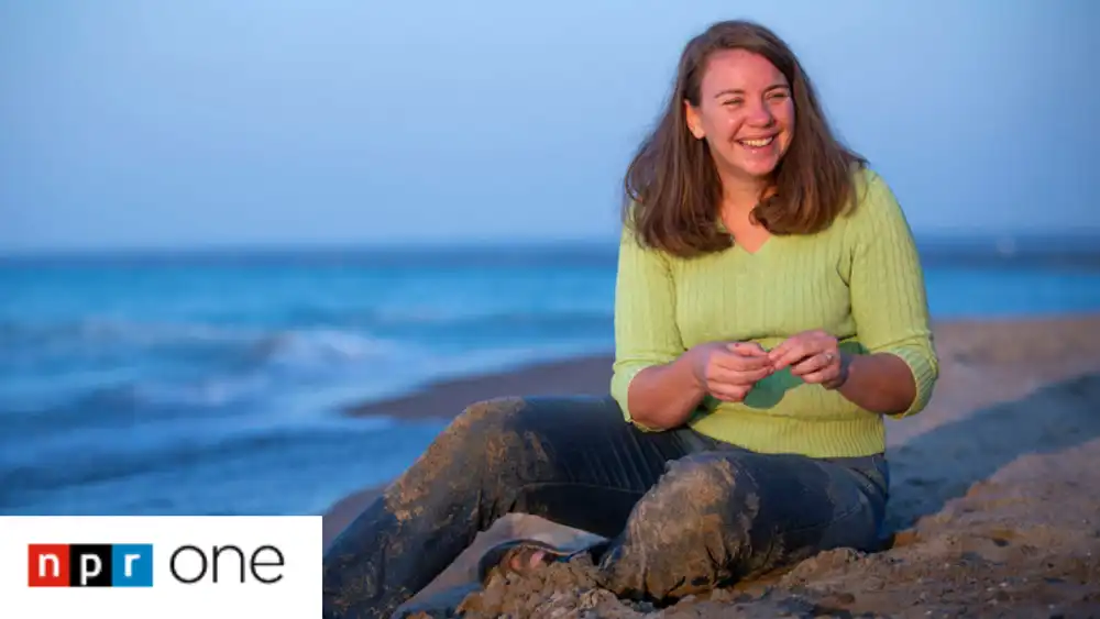 News | Sam Mason, director of Gannon's Project NePTWNE talks microplastics on NPR | Gannon ...